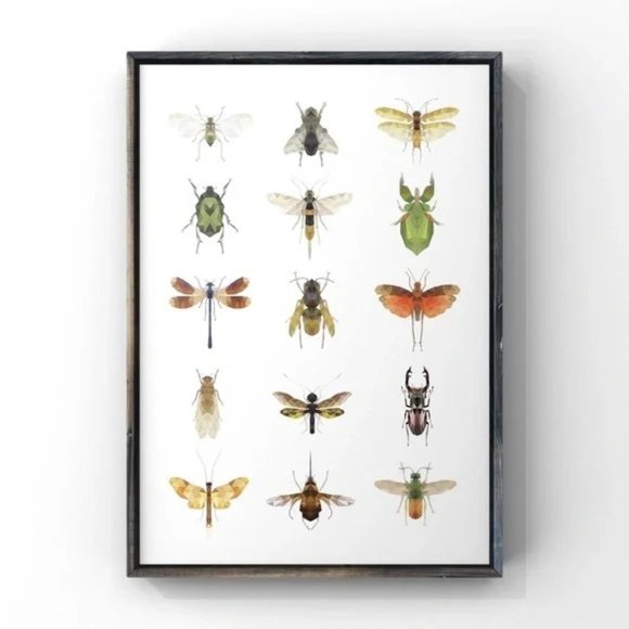 Triad Art & Design | Art | Vintage Inspired Array Of Bugs Illustration ...